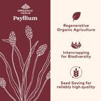 500 mg psyllium husk for daily fiber