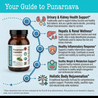 500 mg Punarnava veg capsules