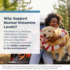 500 mg quercetin for immune support