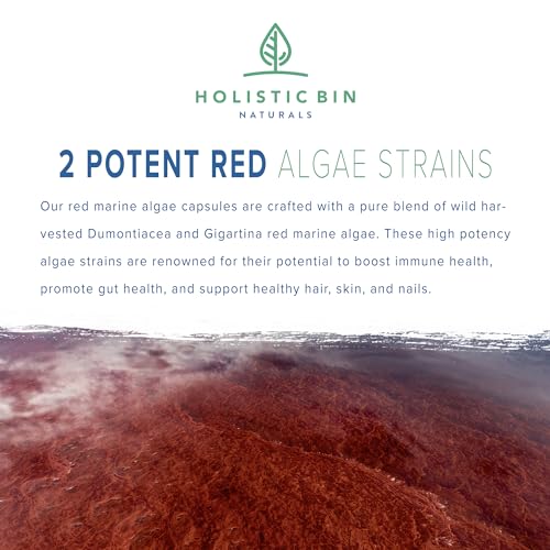 500 mg Red Marine Algae supplement