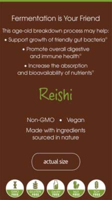 500 mg Reishi mushroom dosage