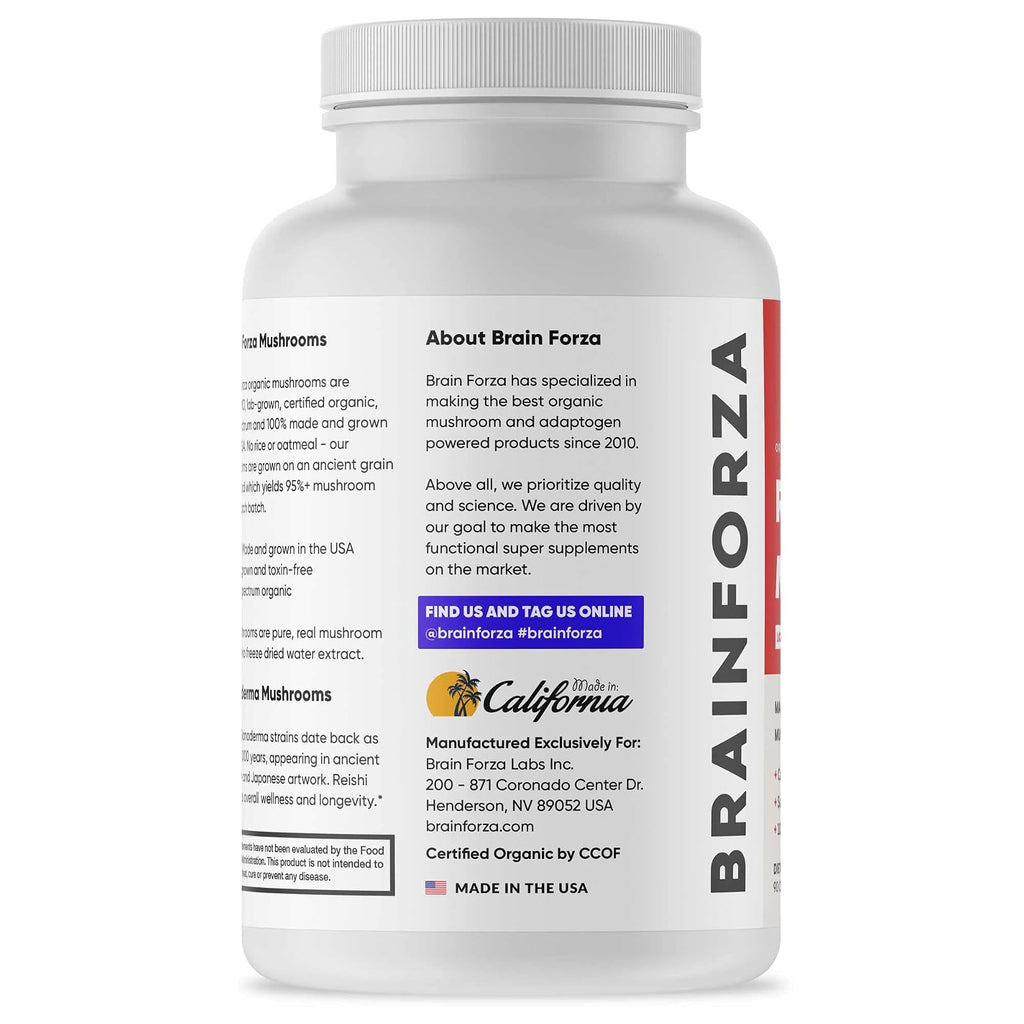 500 mg reishi mushroom supplement