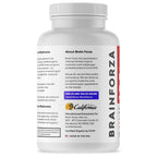 500 mg reishi mushroom supplement