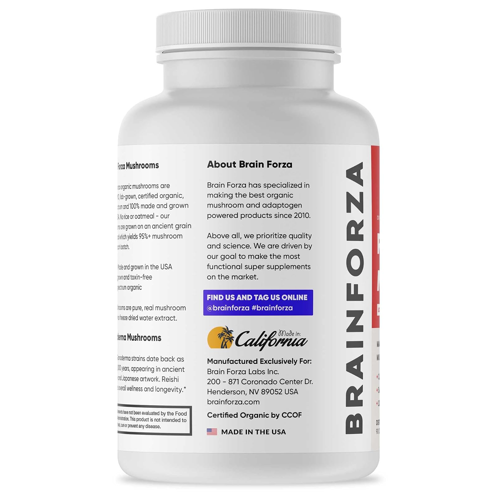 500 mg reishi mushroom supplement