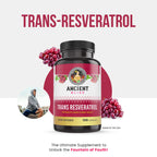 500 mg Resveratrol capsules for wellness