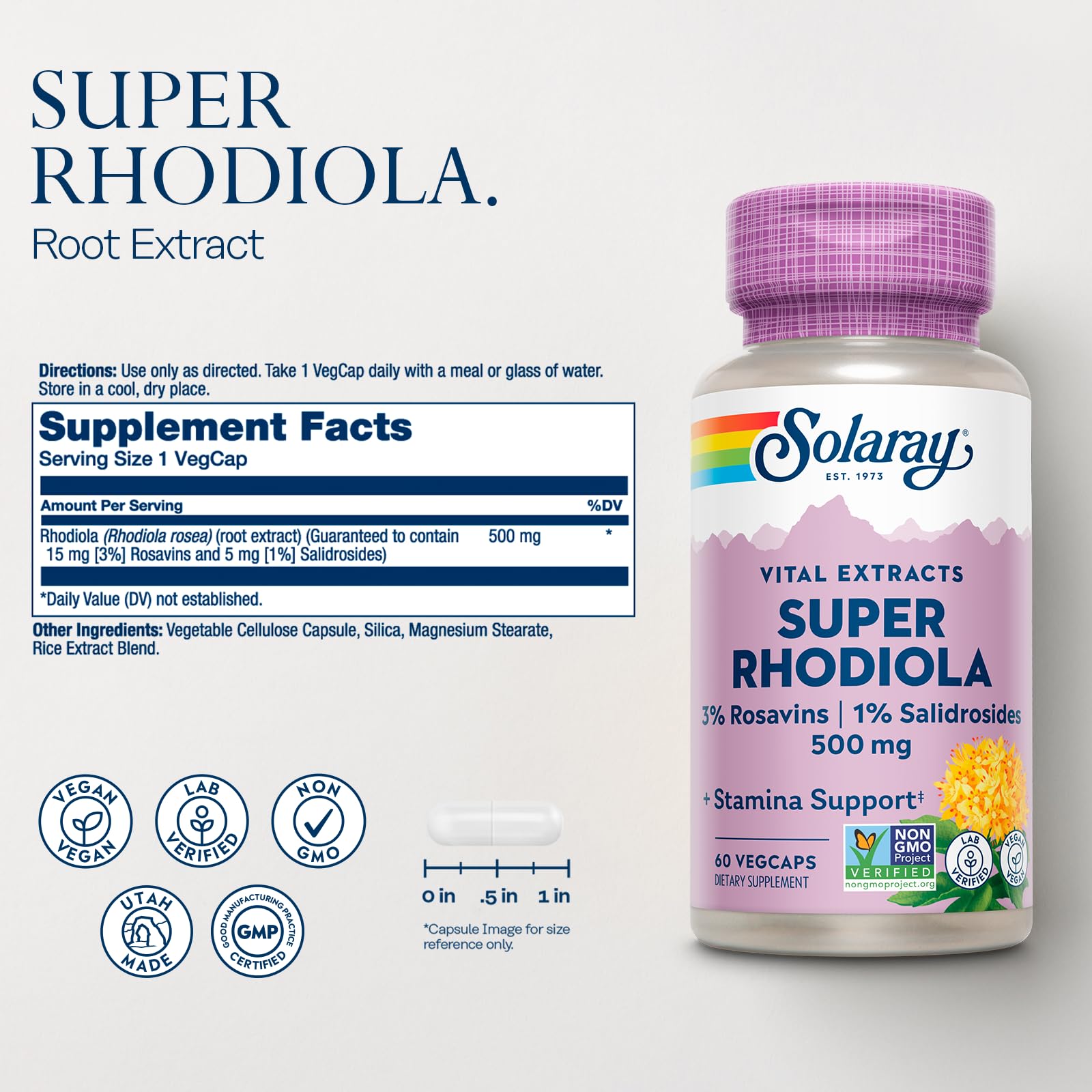 500 mg rhodiola for energy boost