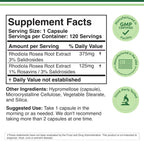 500 mg rhodiola for enhanced energy