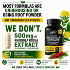 500 mg rhodiola for stress relief
