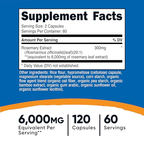 500 mg rosemary extract benefits