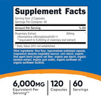 500 mg rosemary extract benefits