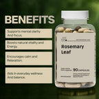500 mg rosemary leaf supplement