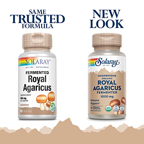 500 mg royal agaricus mushroom benefits