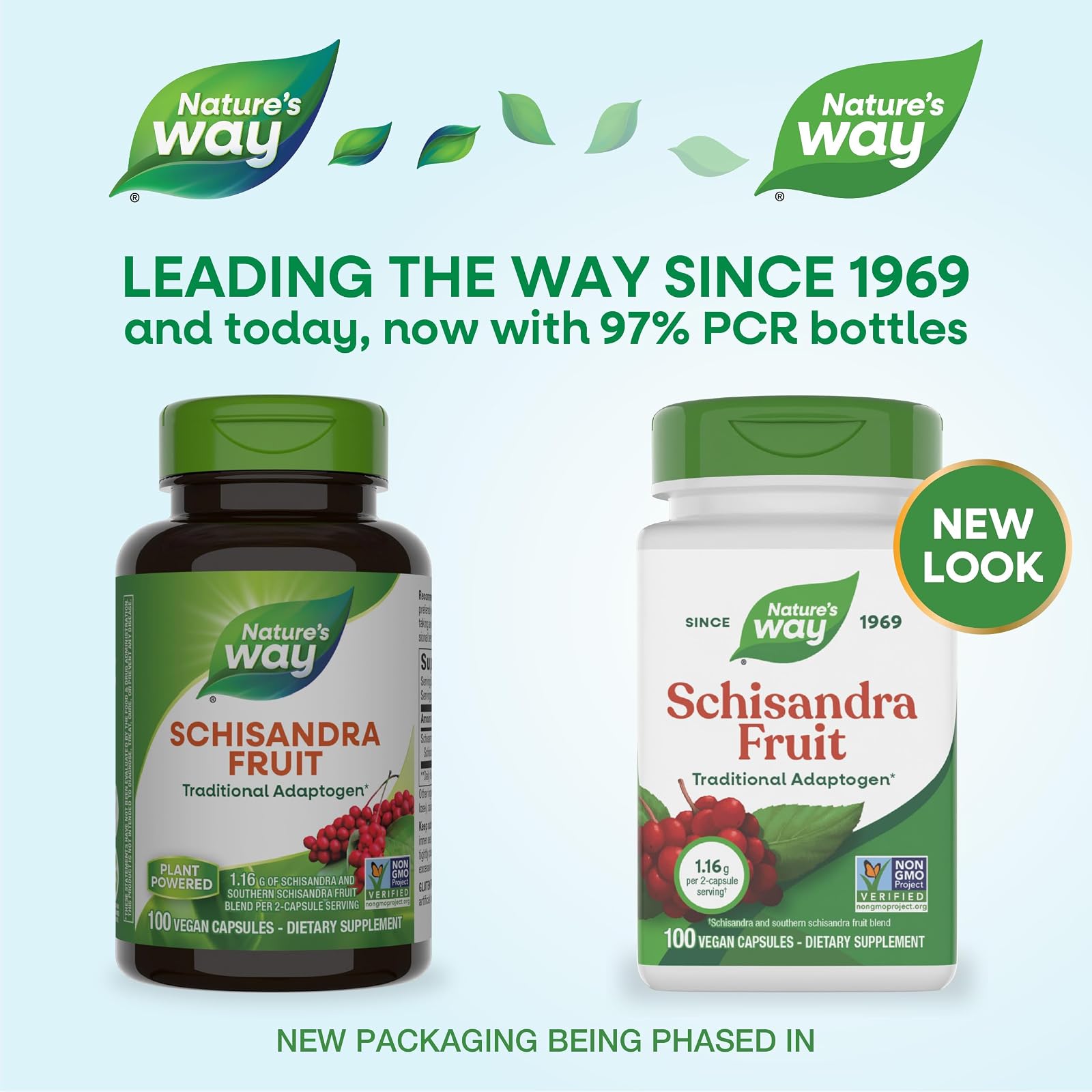500 mg Schisandra Fruit supplement