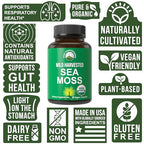 500 mg sea moss health benefits