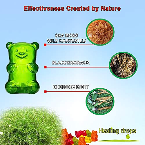 500 mg sea moss multivitamin for men