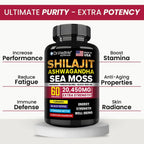 500 mg Shilajit Ashwagandha benefits