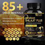 500 mg shilajit for daily health