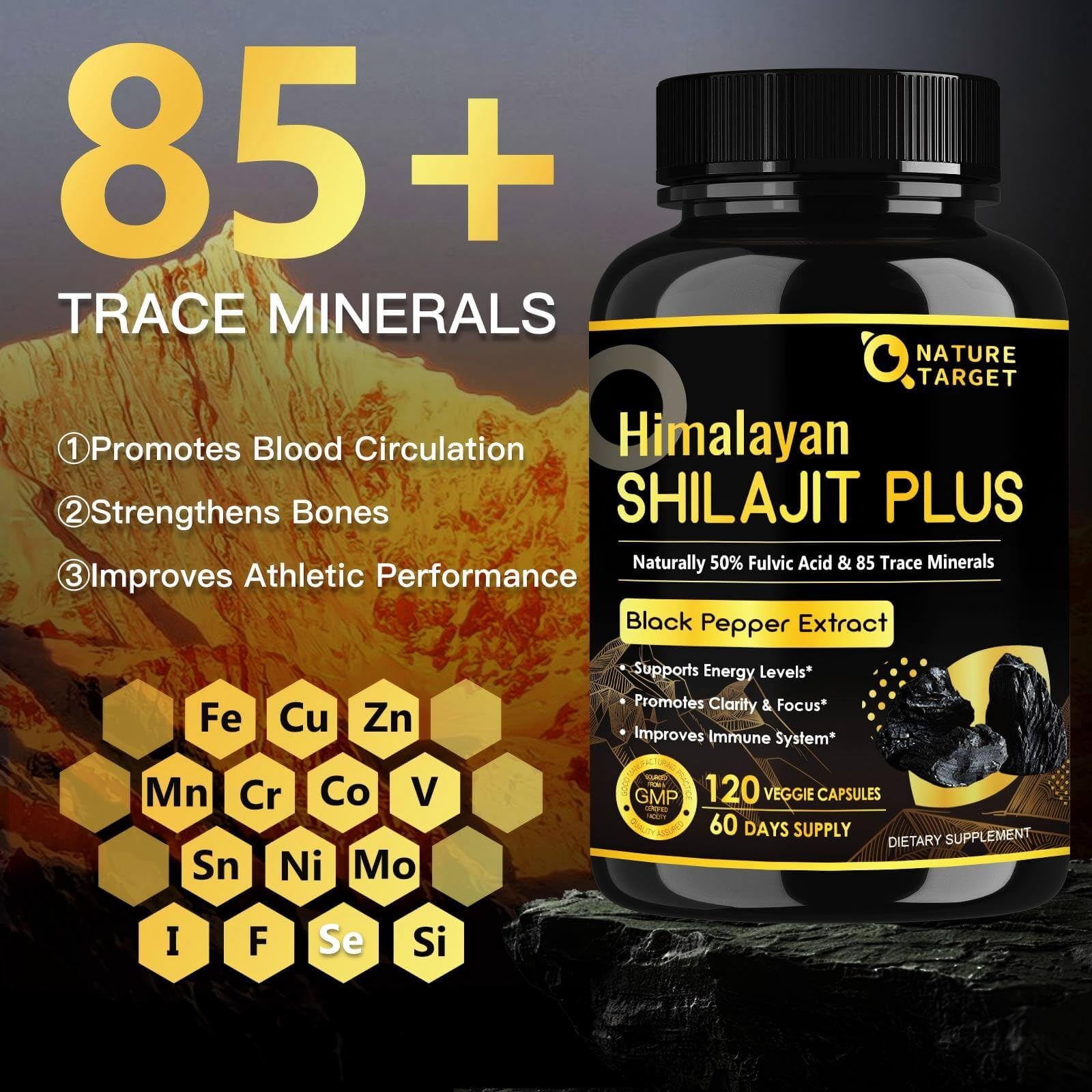 500 mg shilajit for daily health