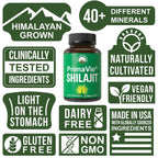 500 mg shilajit for vitality boost