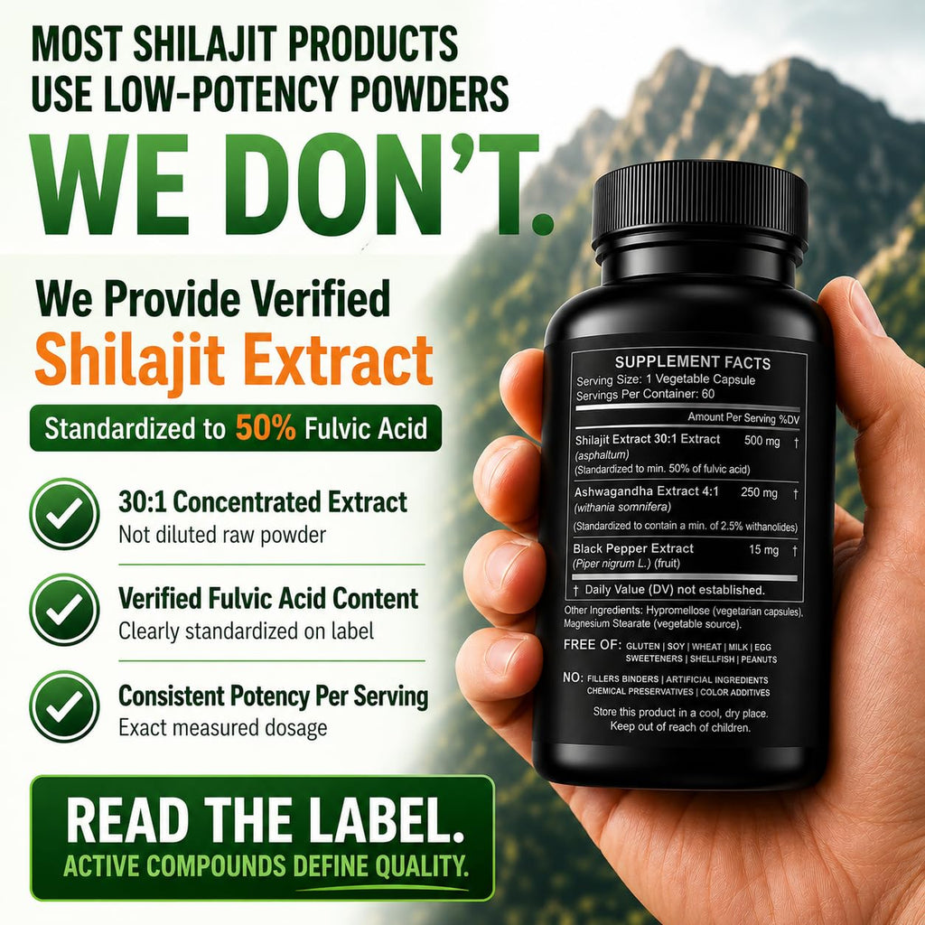 500 mg shilajit for wellness