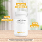 500 mg shilajit health supplement