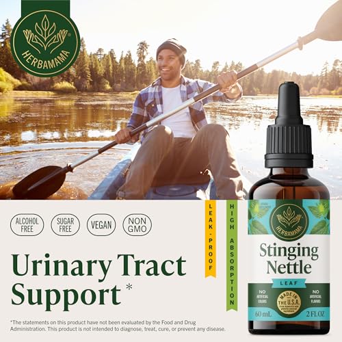 500 mg stinging nettle extract benefits
