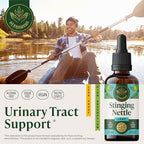 500 mg stinging nettle extract benefits