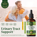 500 mg stinging nettle health benefits