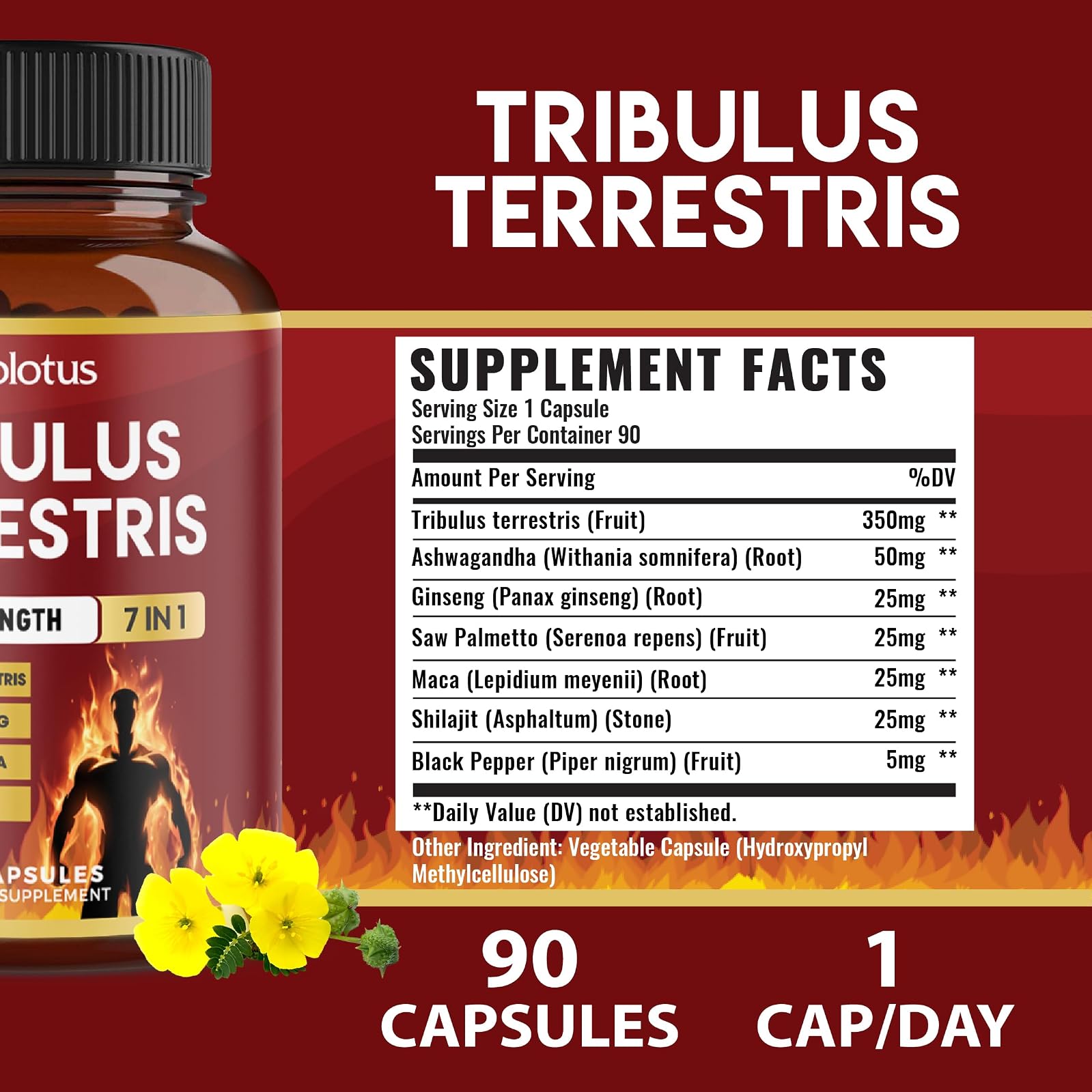 500 mg Tribulus with Ashwagandha