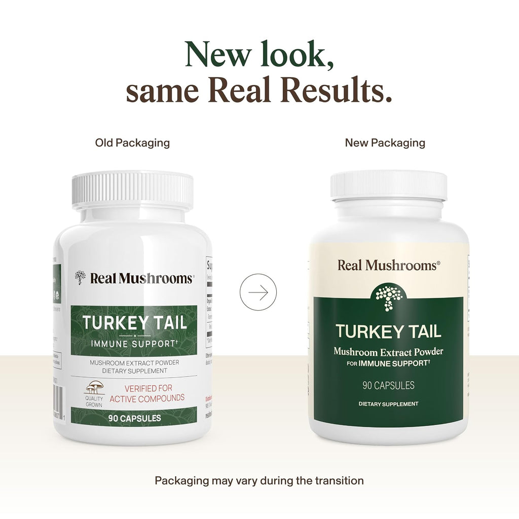 500 mg turkey tail extract benefits