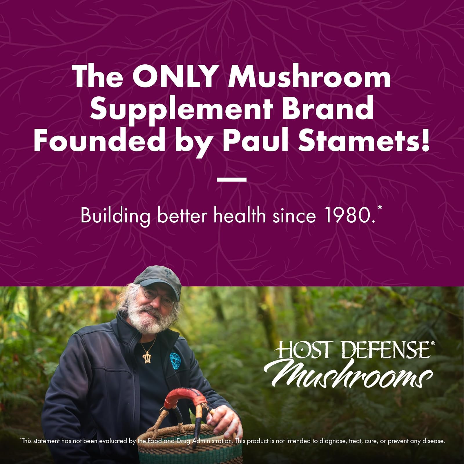 500 mg turkey tail for digestive health