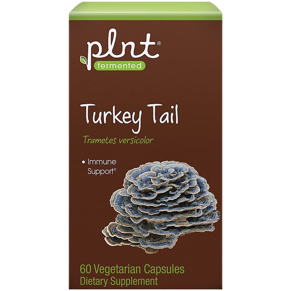 500 MG Turkey Tail mushroom extract