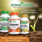 500 mg turmeric for daily wellness