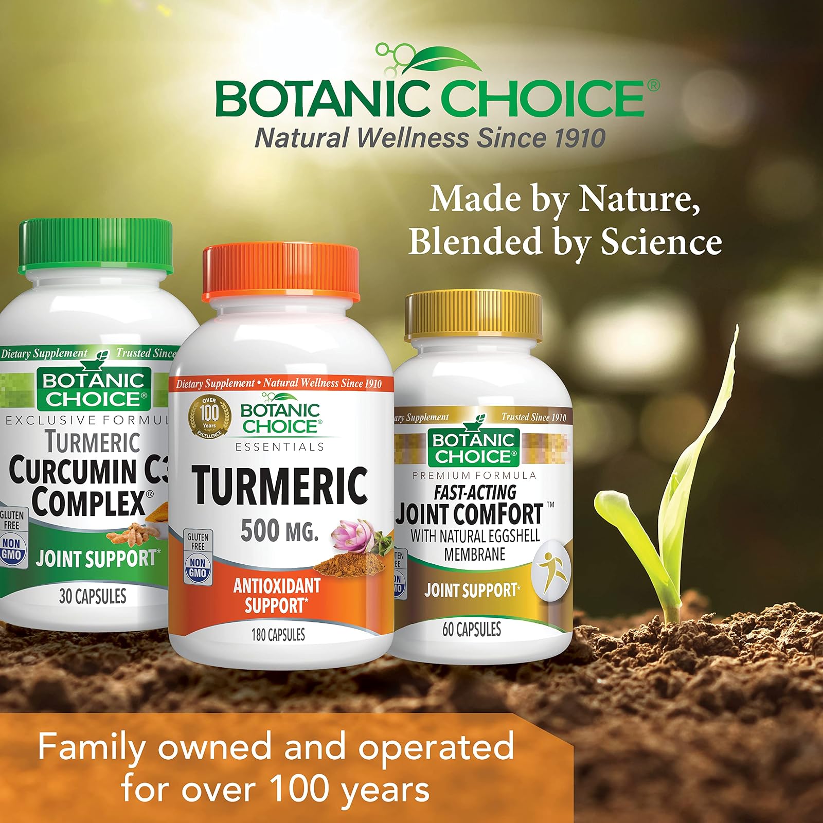 500 mg turmeric for daily wellness