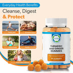500 mg turmeric & ginger capsules