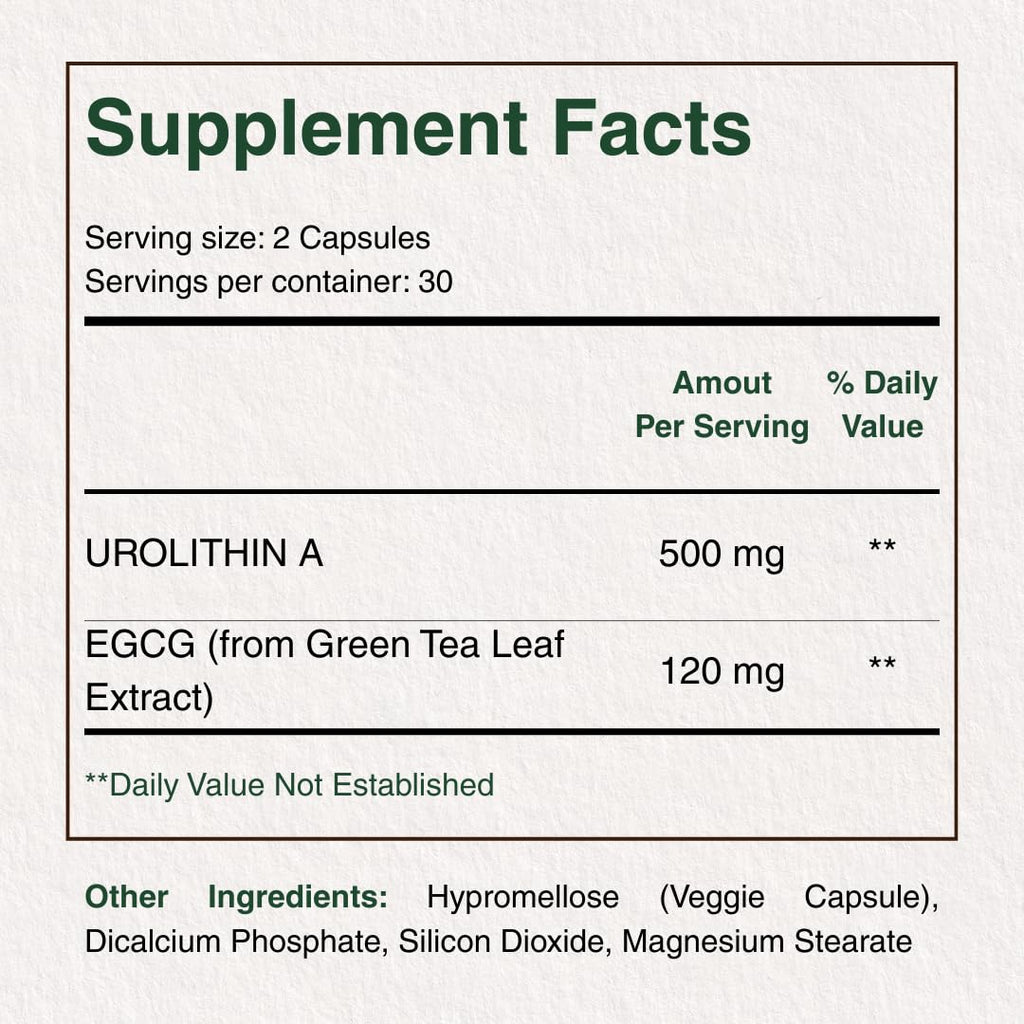 500 mg Urolithin A+ supplement