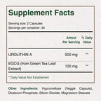 500 mg Urolithin A+ supplement