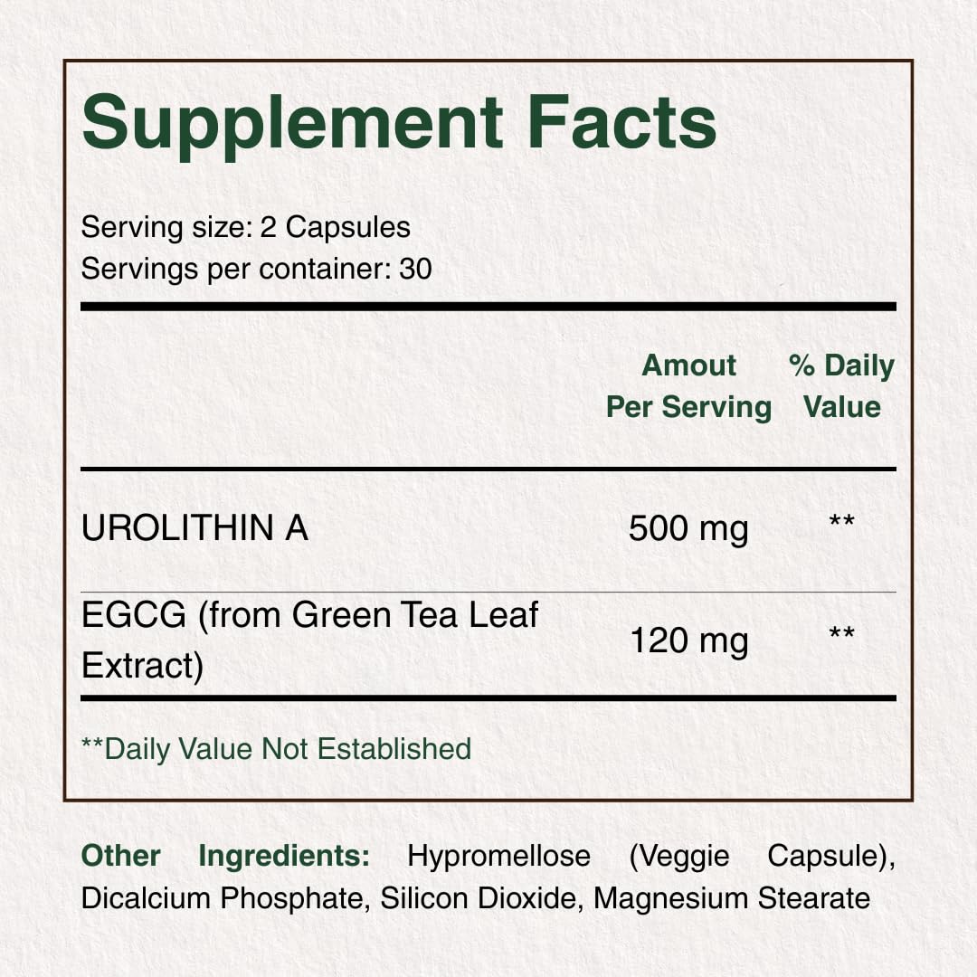 500 mg Urolithin A+ supplement