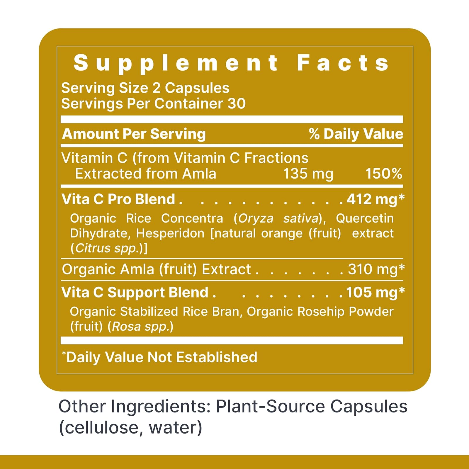 500 mg vegetarian Vitamin C supplement