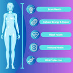 500 mg vitamin b complex supplement