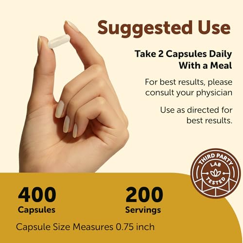 500 mg Vitamin B3 for energy support