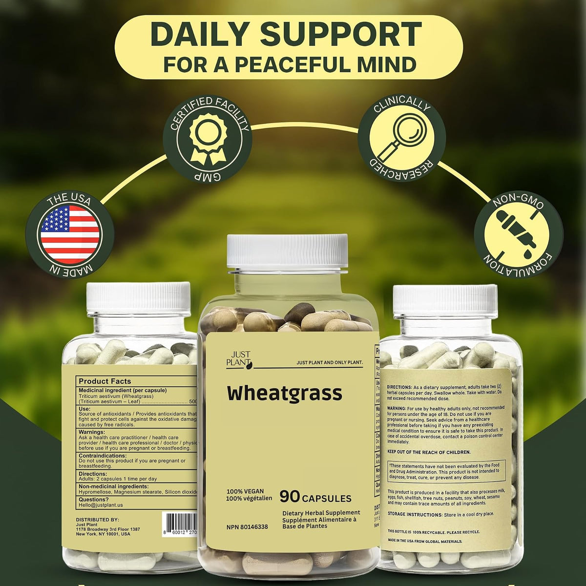 500 mg wheat grass for daily energy
