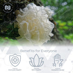 500 mg White Jelly Mushroom capsules
