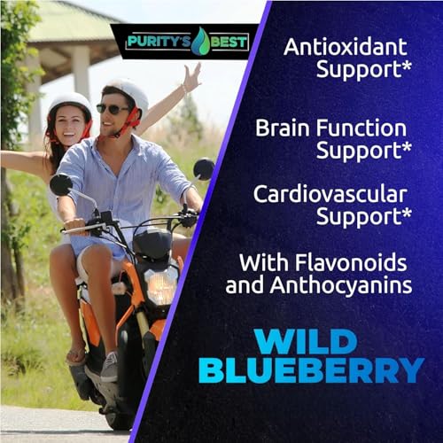 500 mg wild blueberry extract benefits