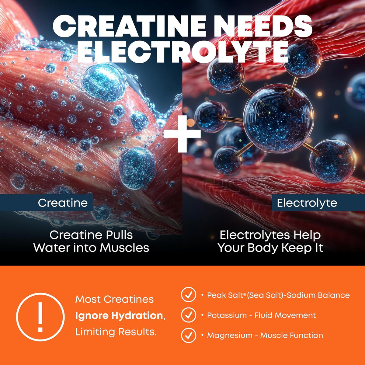 5000 mg creatine for muscle gain
