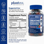 5000 mg creatine gummies for athletes