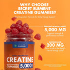 5000 mg creatine monohydrate for muscle growth