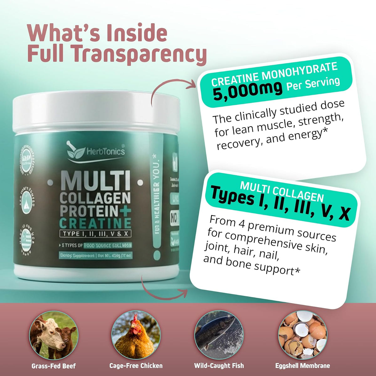 5000 mg creatine serving size