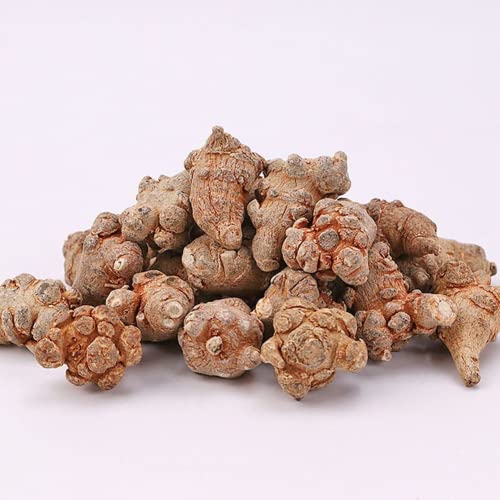 500g ginseng for holistic benefits
