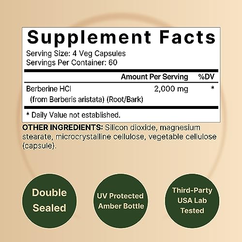 500mg berberine capsules for daily use